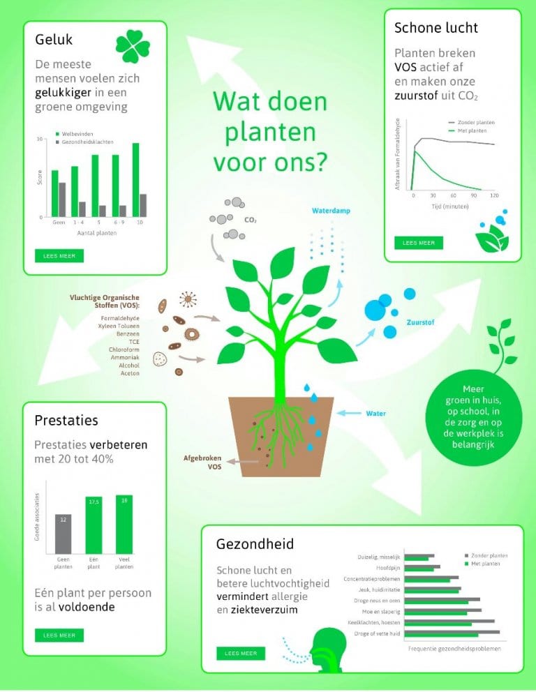 Infographic - Luchtkwaliteit - Hoogendoornprojectbeplanting.nl