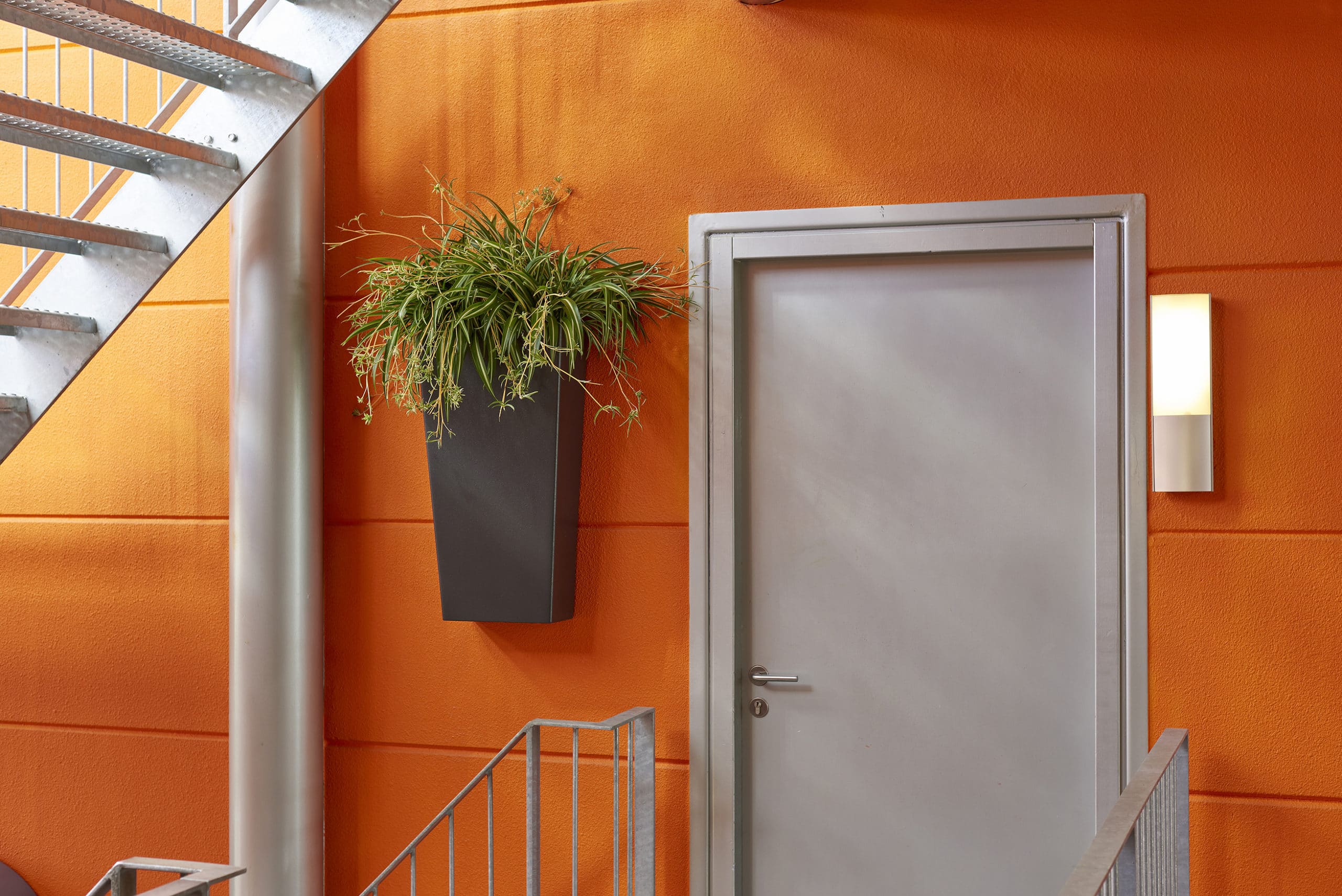 Promo Wall Planter ral 7043 Structure - Hoogendoornprojectbeplanting.nl