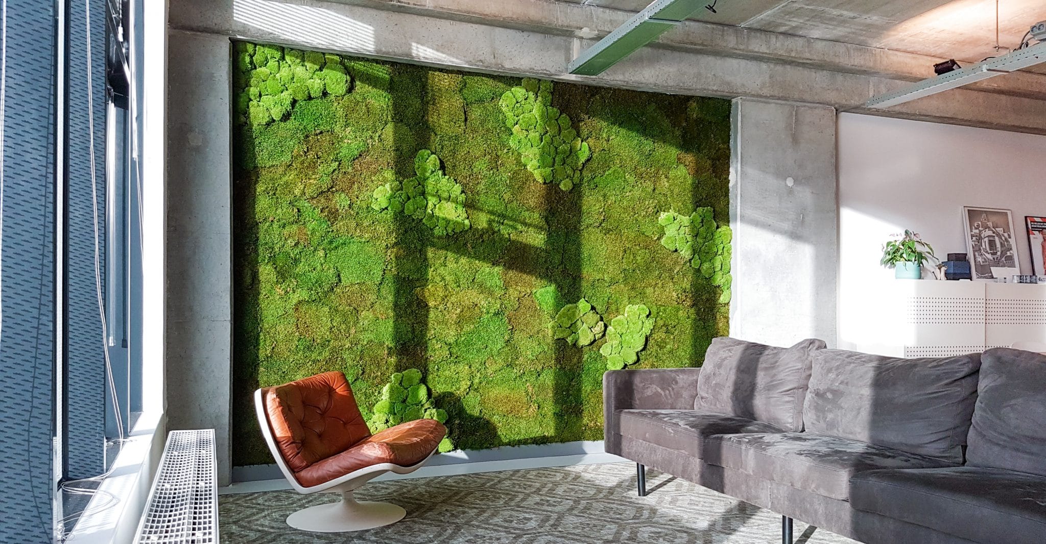 BLOG: Een moswand op kantoor - Hoogendoornprojectbeplanting.nl Hoogendoorn