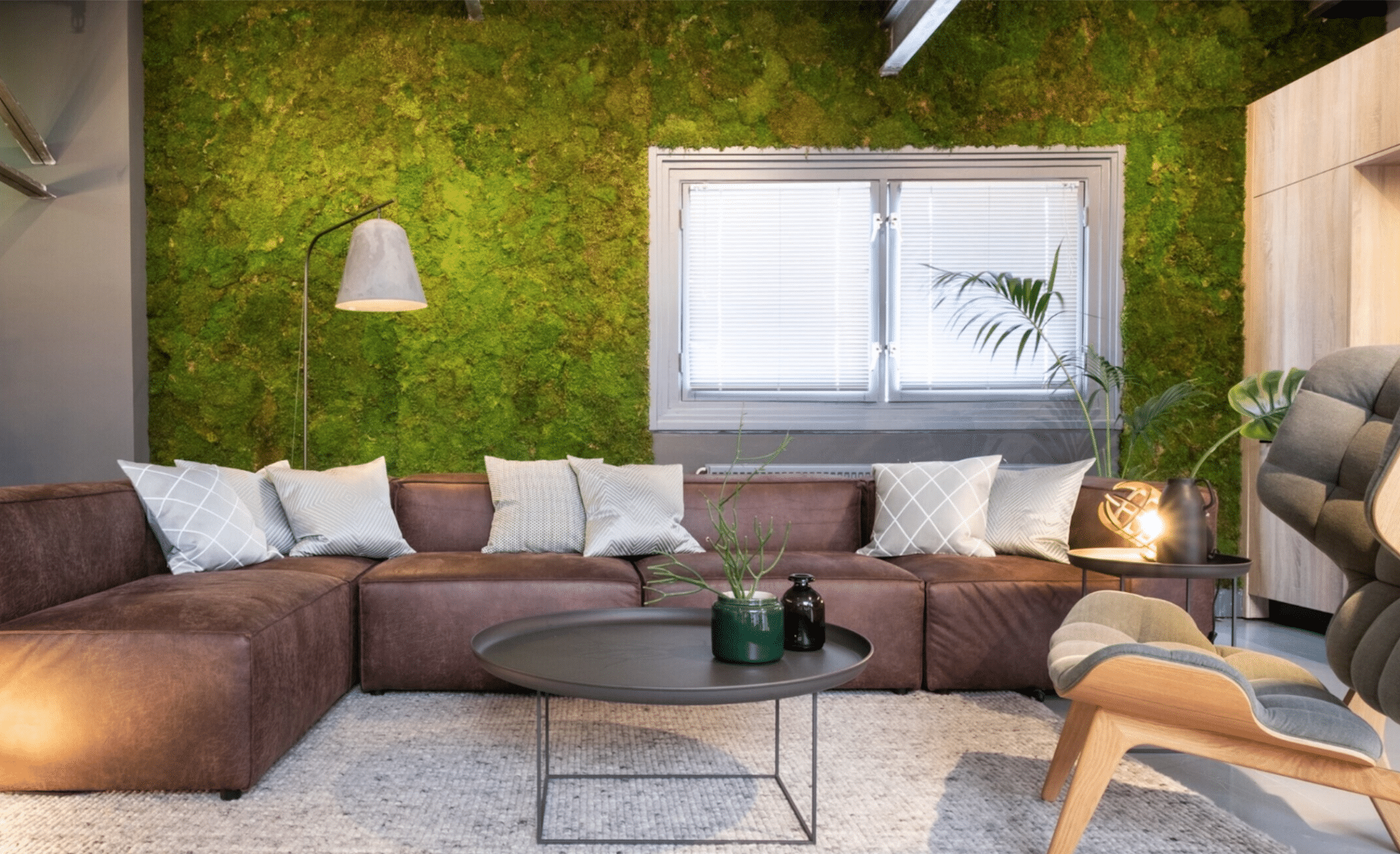 BLOG: Een moswand op kantoor - Hoogendoornprojectbeplanting.nl Hoogendoorn