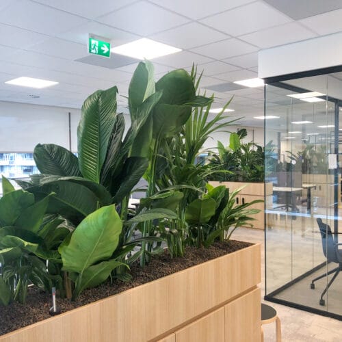 Link Asset Services - Hoogendoornprojectbeplanting.nl Hoogendoorn ...