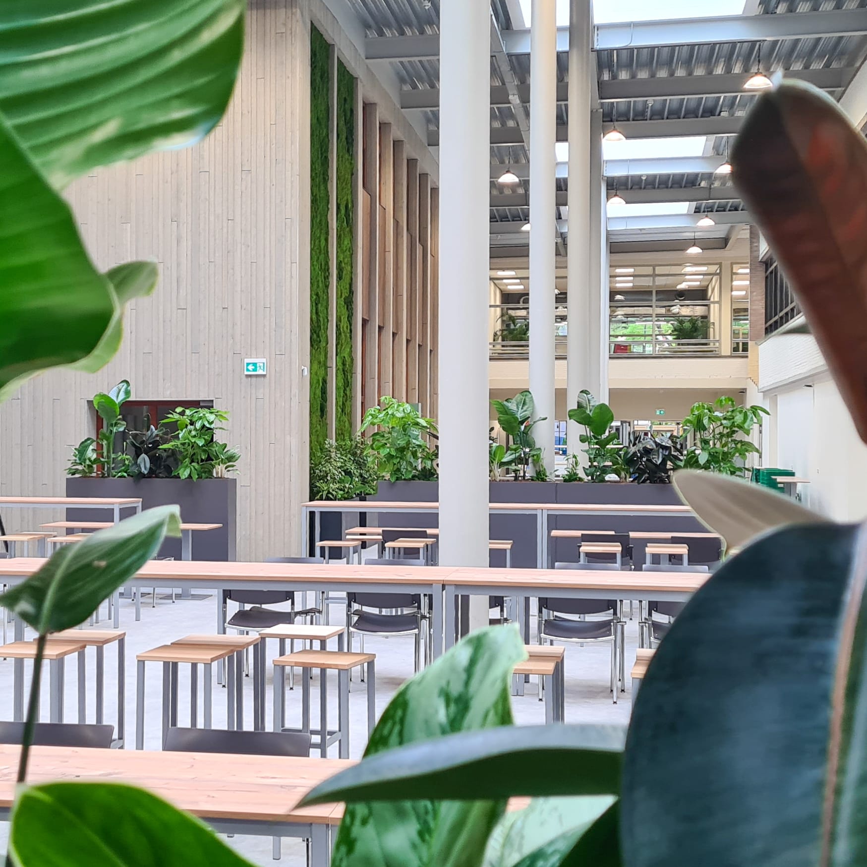 Groen MBO Utrecht - Hoogendoornprojectbeplanting.nl